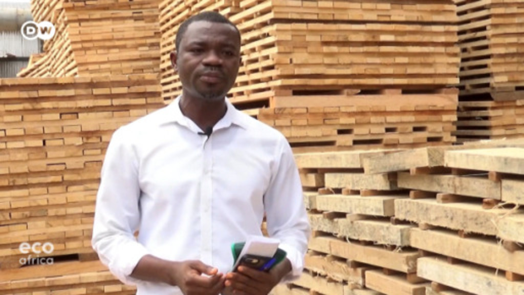 Fighting illegal logging in Ghana with an app – DW – 11/20/2020