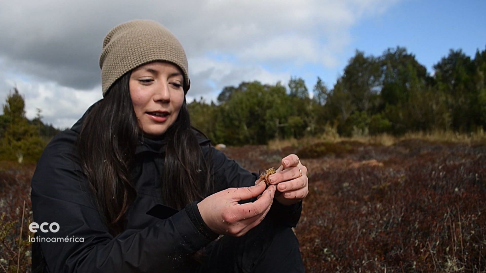 La magia de la turba – DW – 22/02/2024