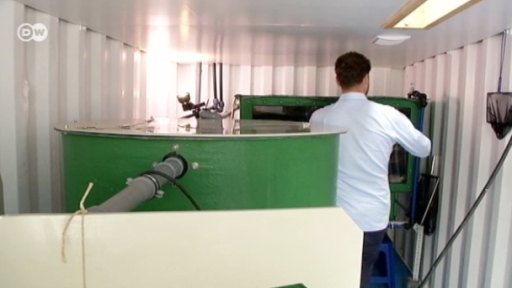 Creative containers – DW – 08/05/2013