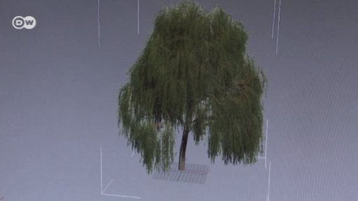 Digital trees – DW – 06/08/2014