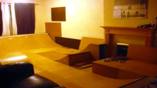 Skating in the Living Room - The Newcomer