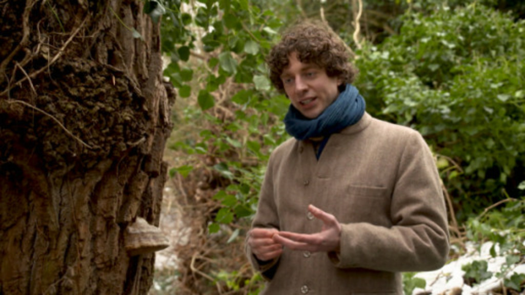 El británico Merlin Sheldrake y el reino de las setas – DW – 01/04/2022