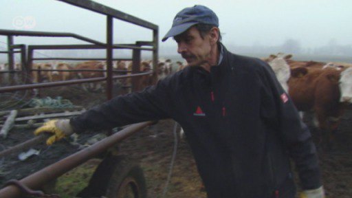 Los alemanes y los lobos – DW – 18/01/2018