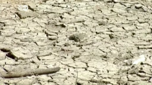 Qatar: Climate Change Talks # 26.11.2012 13 Uhr # doha11a # journal ...