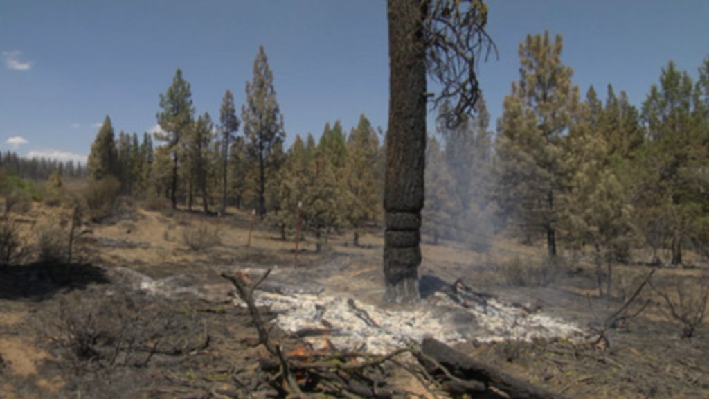 Firefighters make progress against Oregon inferno – DW – 07/23/2021