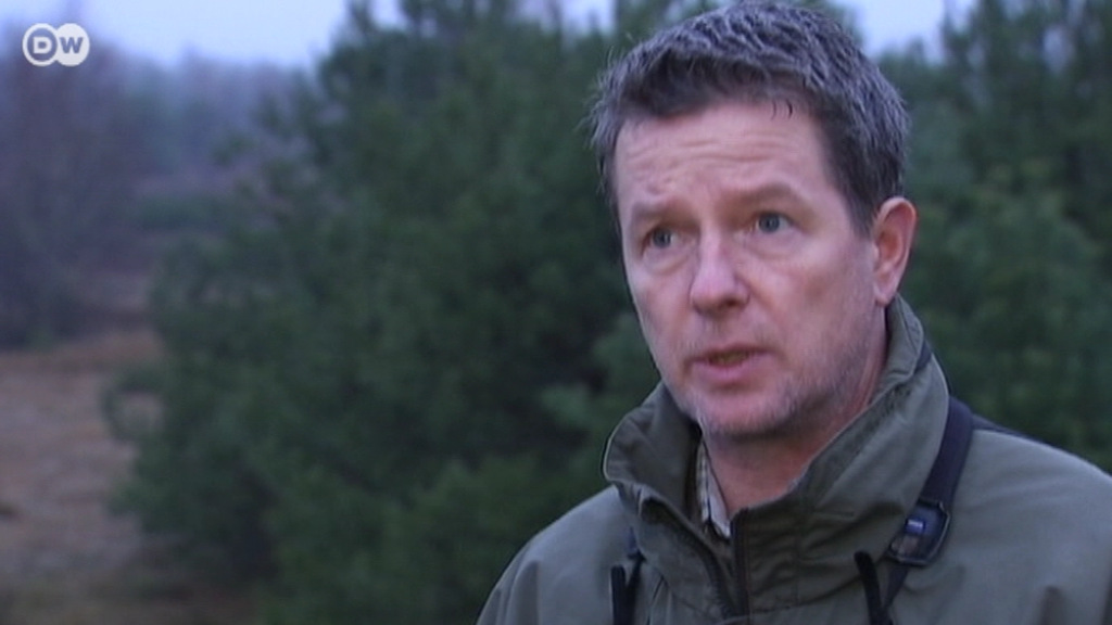 Return of a Predator - the big bad wolf is back # 17.01.2013 # People ...