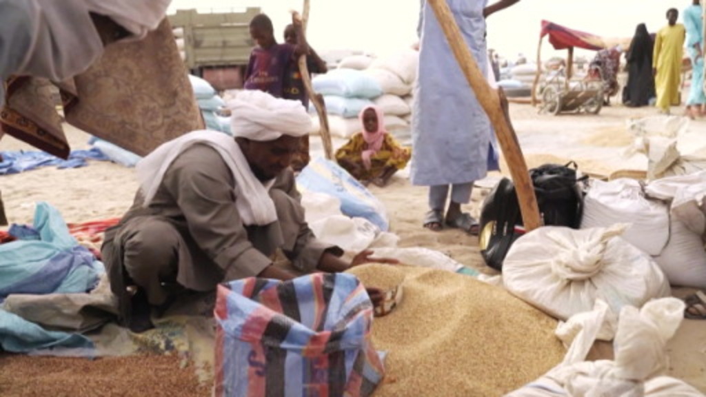 Global food crisis: A world going hungry? – DW – 07/07/2022