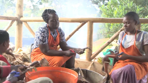 Uganda Turns To Banana Fiber To Replace Plastic Shopping Bags Dw 08