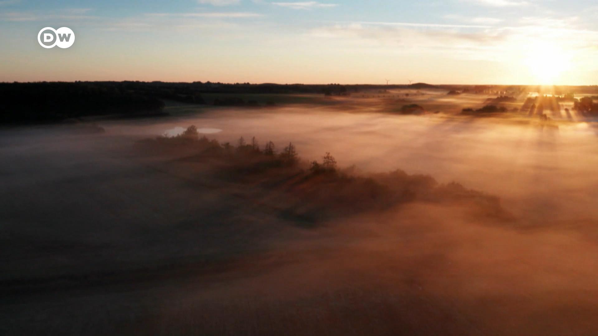 O que é neblina e como ela se forma? – DW – 06/11/2023