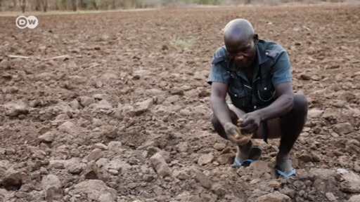 Le Zimbabwe confronté à la famine – DW – 06/01/2020