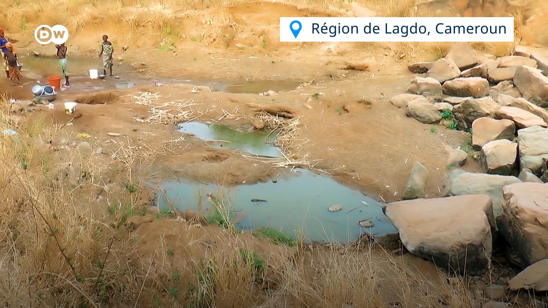 L'eau manque cruellement au Nord Cameroun – DW – 13/03/2023