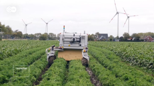 Robot Pertanian Bisa Bedakan Gulma dan Tanaman Budidaya – DW – 26.12.2019