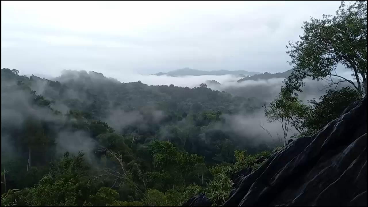Ancaman Industri Semen di Karst Bukit Bulan – DW – 01.12.2021