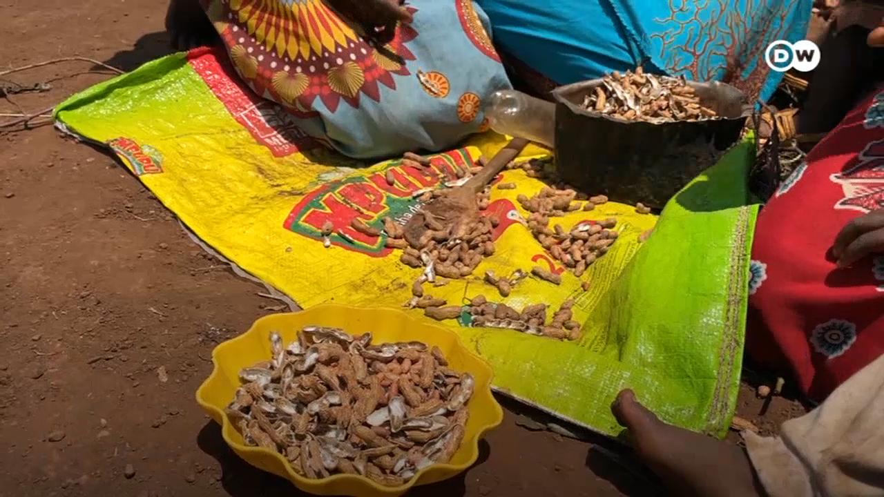 Família de Mariano Nhongo vive em situação precária – DW – 22/12/2021