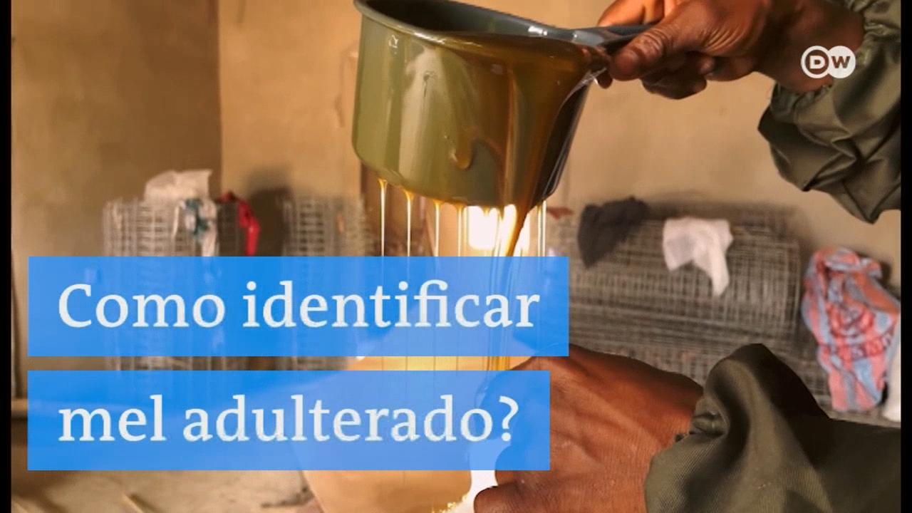 Como identificar mel adulterado? – DW – 07/06/2022