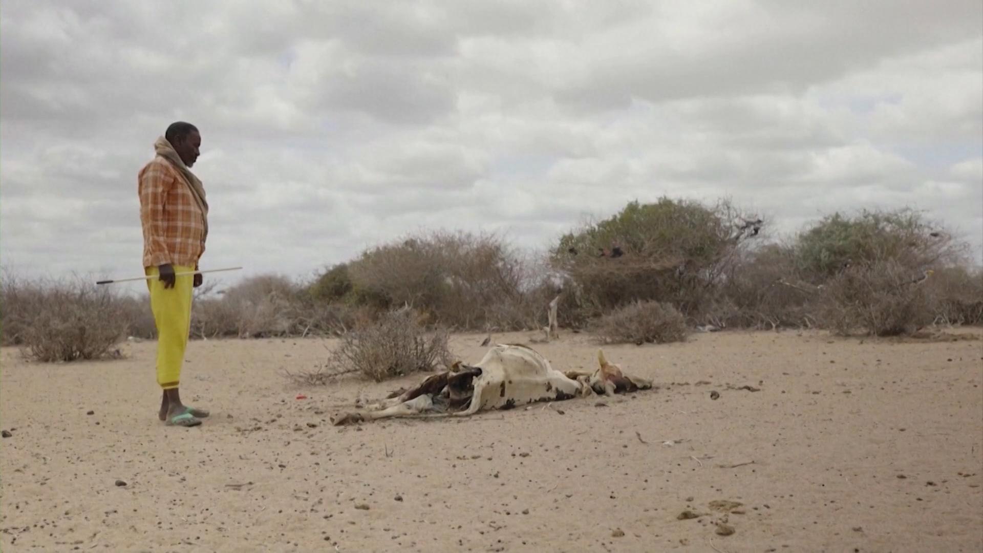 Pembe ya Afrika yakumbwa na ukame mbaya zaidi – DW – 04.09.2023